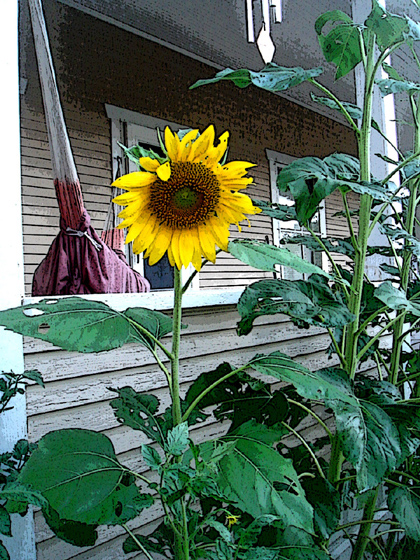 What We Found, Searching for ‘The Way Life Should Be’…by Tonya Morton ...